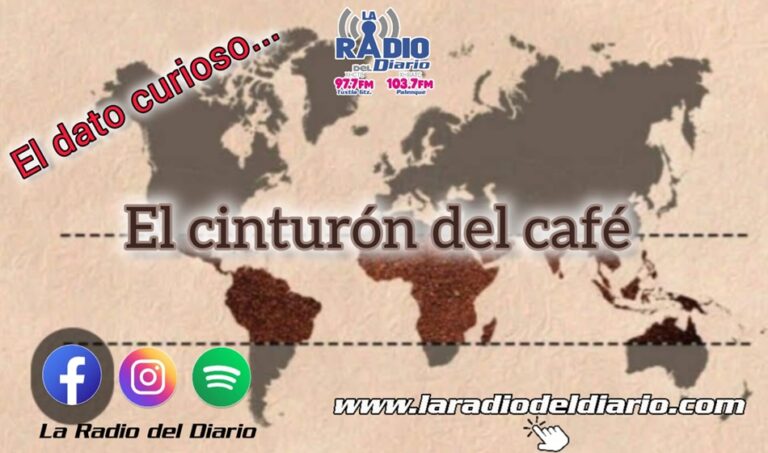 Qué es el Cinturón del Café? - La Radio del Diario